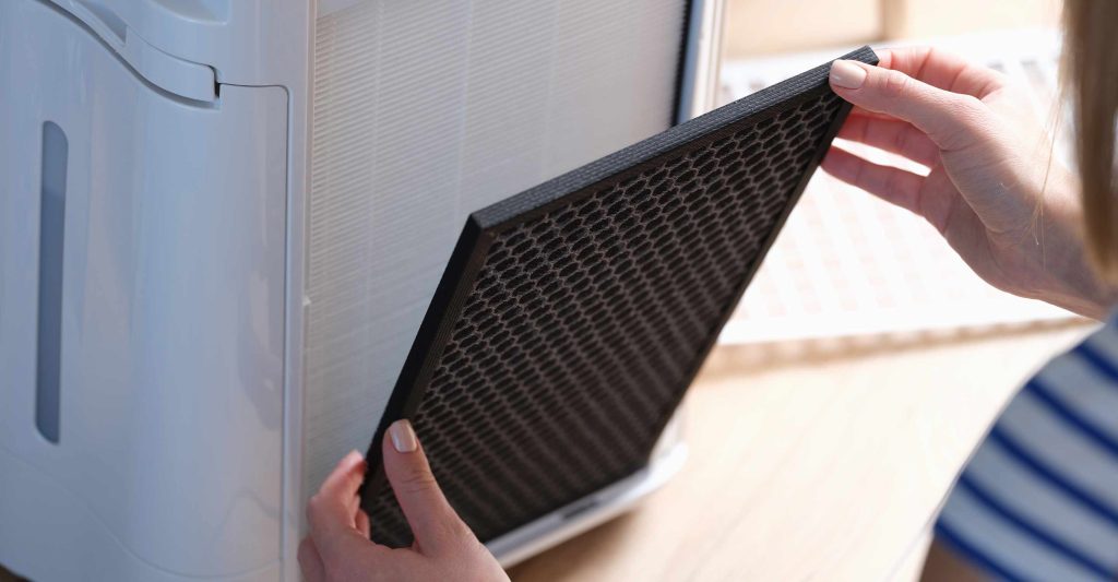 Best Air Purifier for Mold | Air Water Healing
